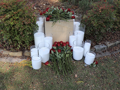 Marking National Domestic Violence Remembrance Day in Randwick City ...