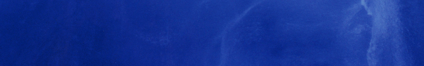 Night Vision - Jesse Boyd-Reid - Randwick City Council