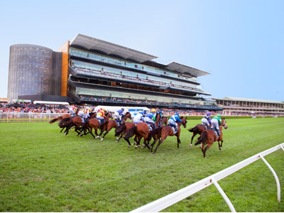 Free tickets to the Races for everyone in Randwick City - Randwick City ...